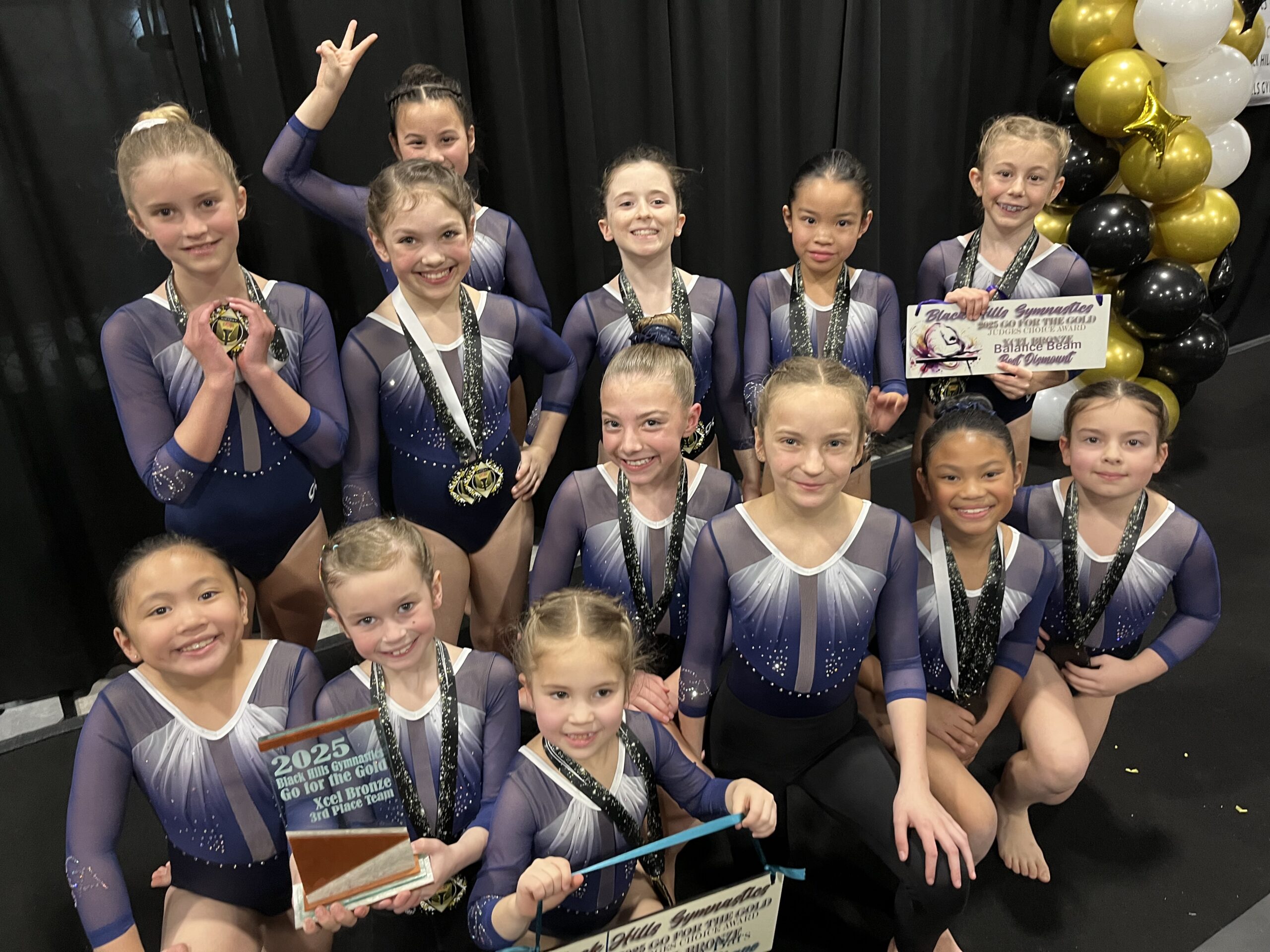 Ballard & Lake City Xcel Teams at Go for the Gold - Seattle Gymnastics ...